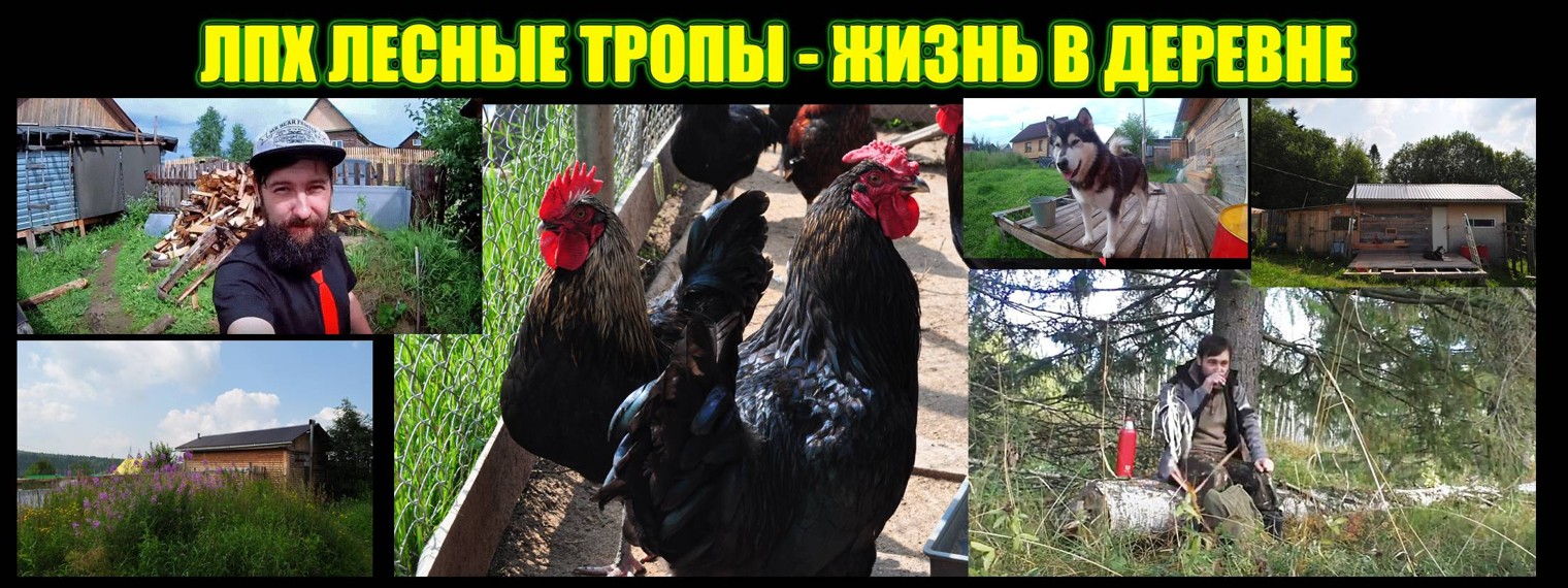ЛПХ "Лесные Тропы"