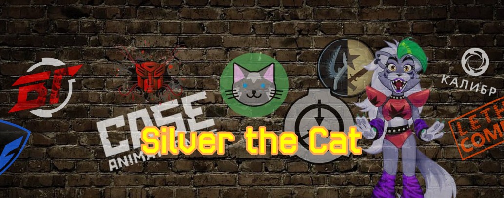Silver The Cat