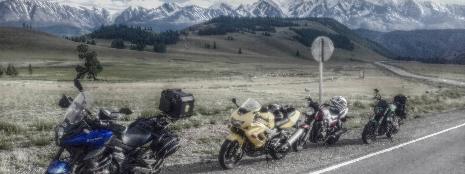 ЭльЁня Мото