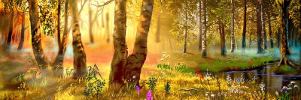 Дмитрий Базаркин