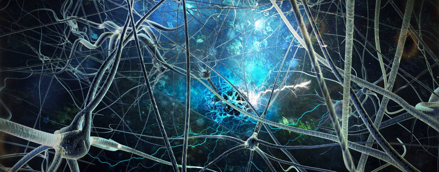 Neuroscience .  #Котел_идей Нейронет