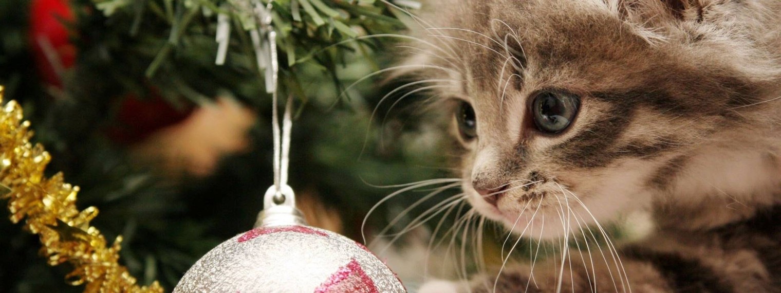 СЕРГЕЙ ФИЛОЧКИН