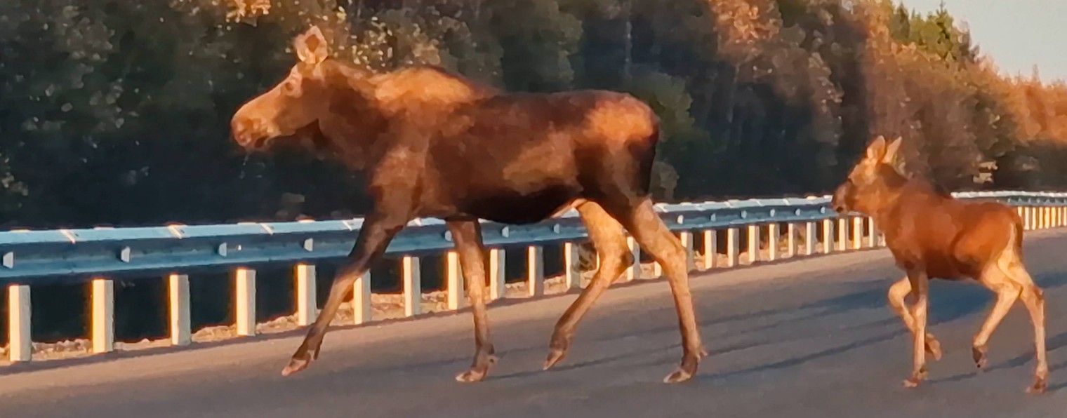 ОСАГО ВАНИНО, OSAGO VANINO