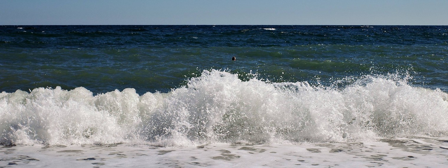 Дневник гедониста