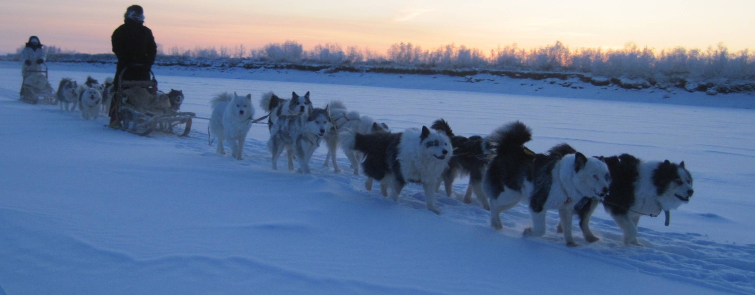 Ренат Хабибулин