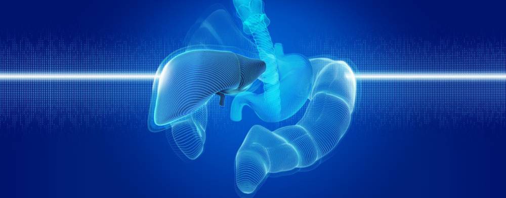 Экспертные мнения в гастроэнтерологии