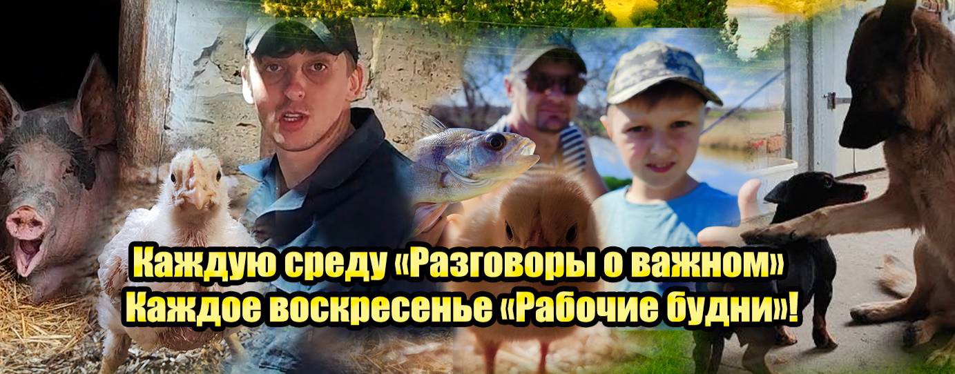 От учителя до фермера