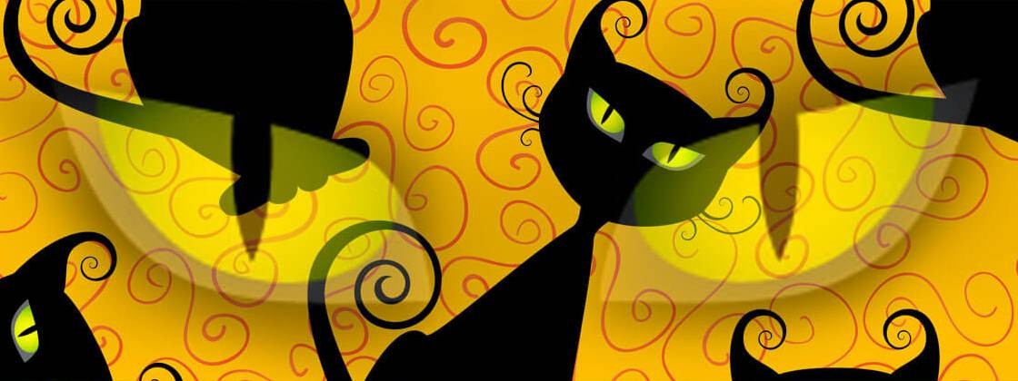 Black Cat