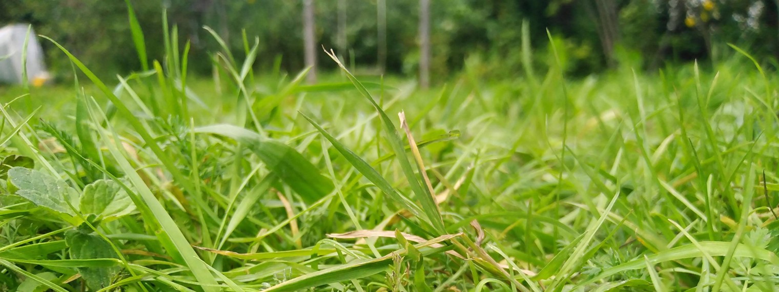 Ирина Малахит