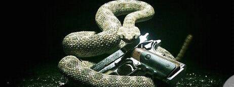 Дима Матроскин