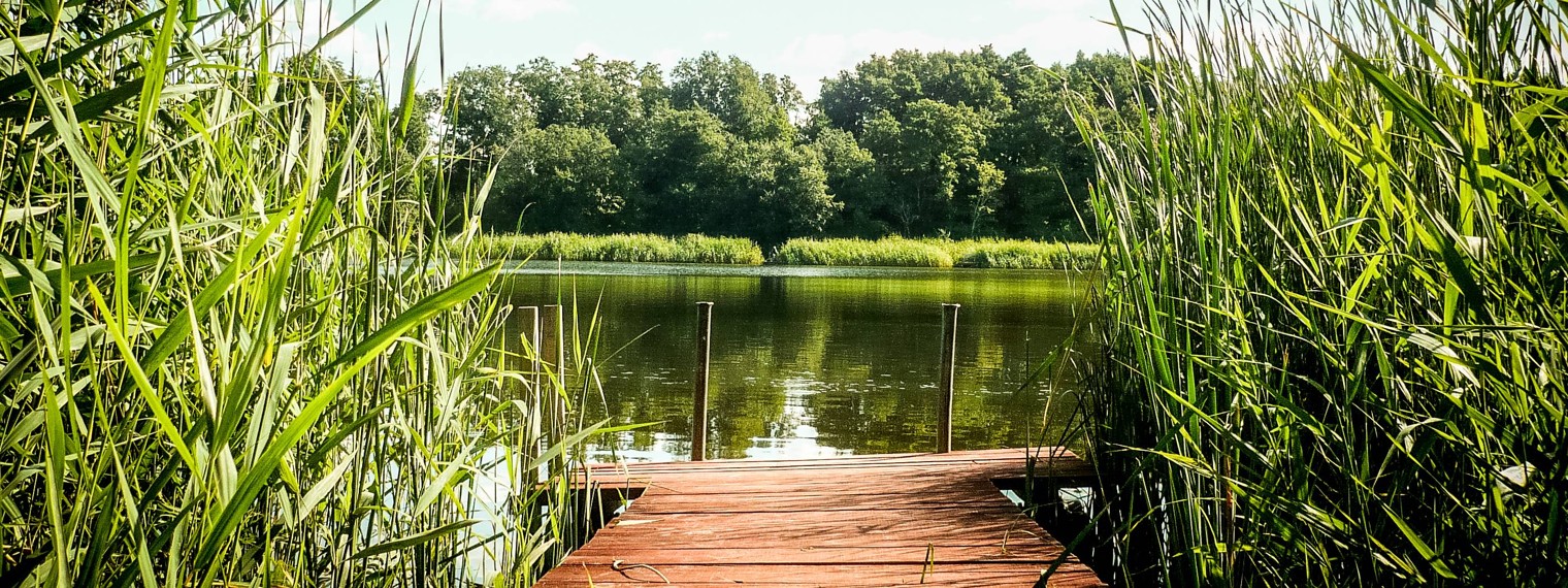 NORTH CARP - ИДЕМ НА РЫБАЛКУ