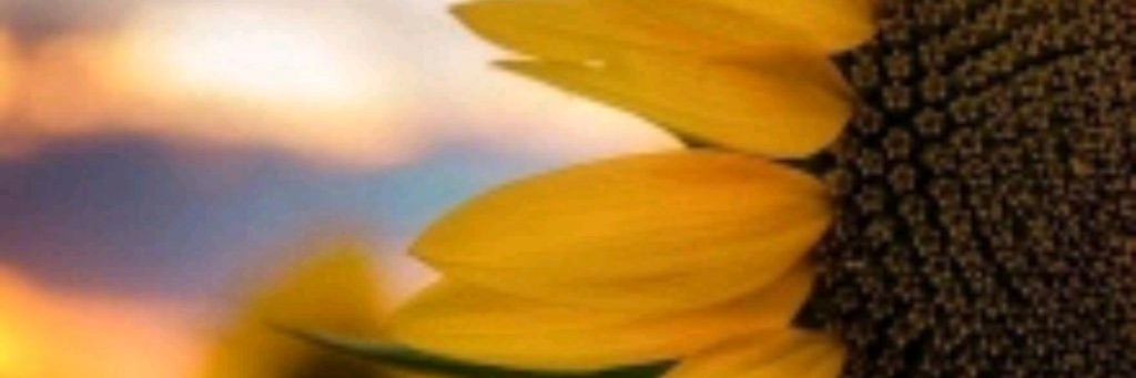 МОЙ ВИДЕО БЛОКНОТ