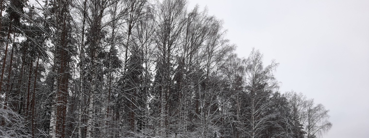 Андрей Царегородцев .Эриксоновский гипноз