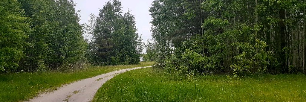 Владимир Черных