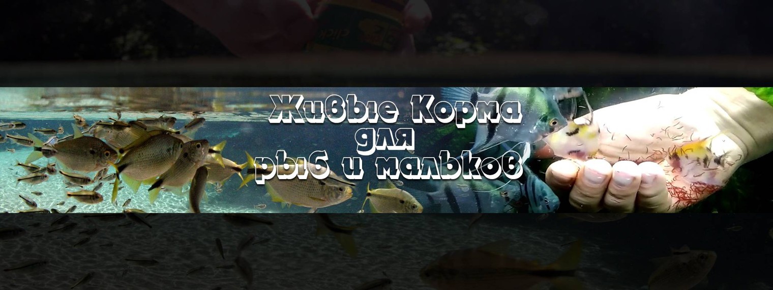 Живые Корма