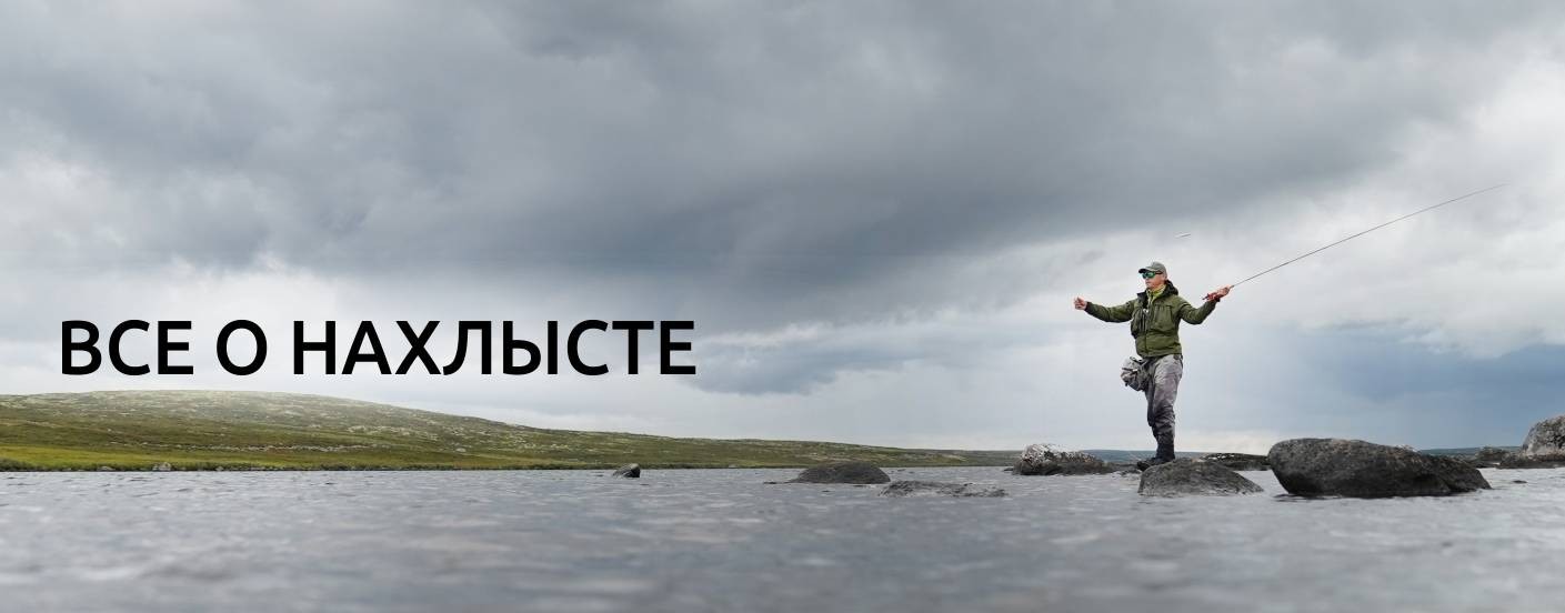 Дроздов и НАХЛЫСТ