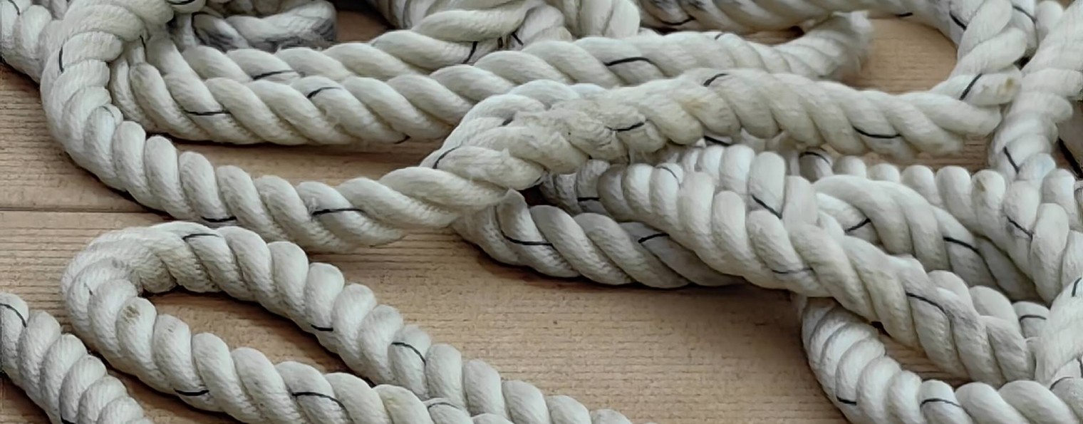 Неспешный путешественник