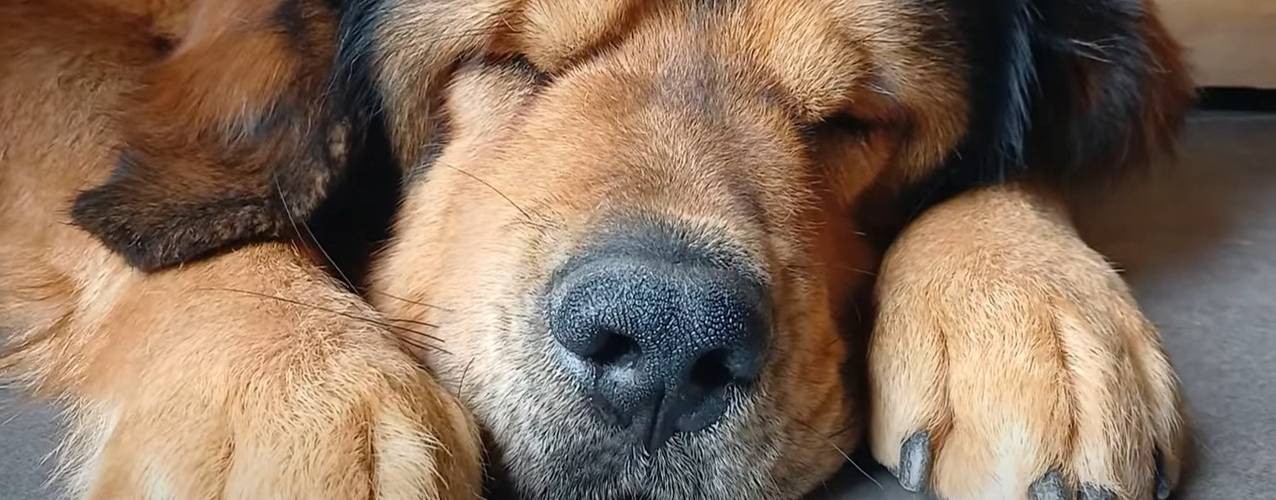 НЕпростая жизнь