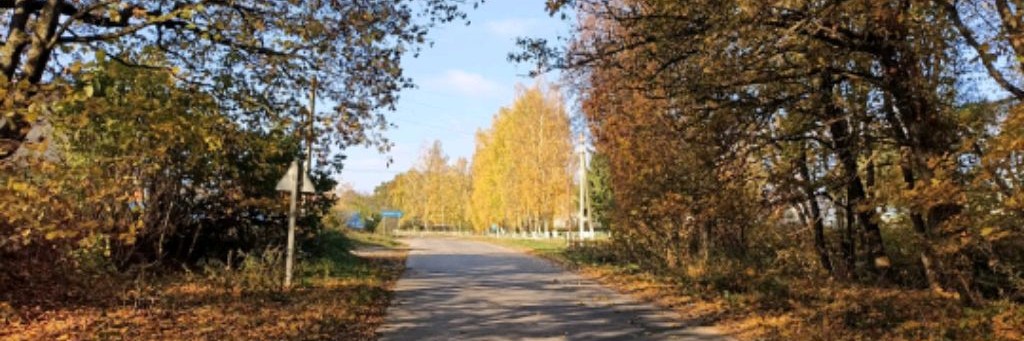Александр Савченко