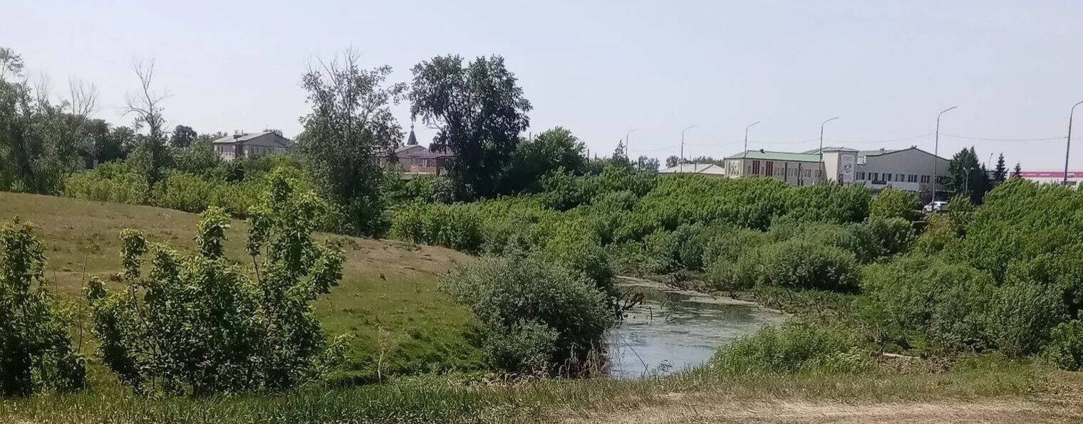 Творческий полёт. Кукольное счастье.