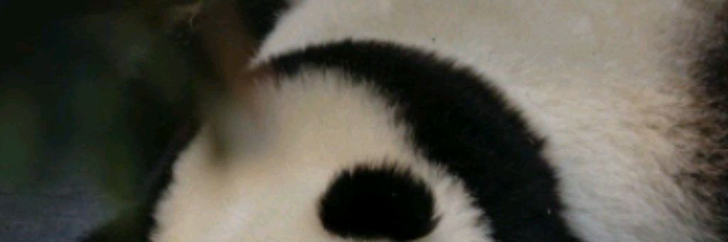 Адам и его друзья