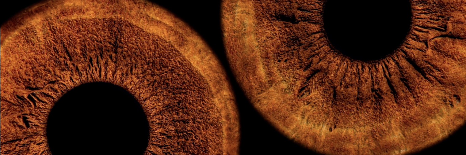 КСЮША-ИЛЮША