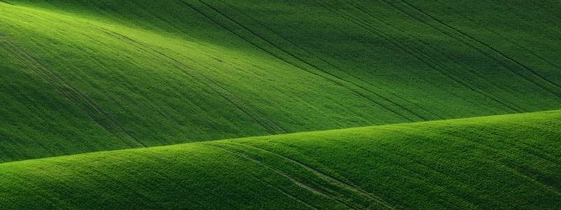 МедЛевелТех