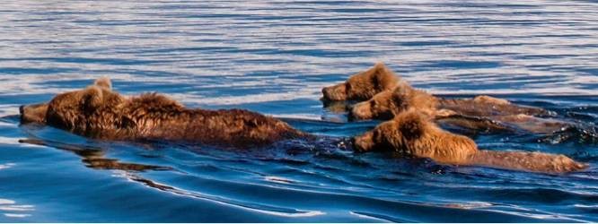 Северо-Восточный филиал ФГБУ «Главрыбвод»