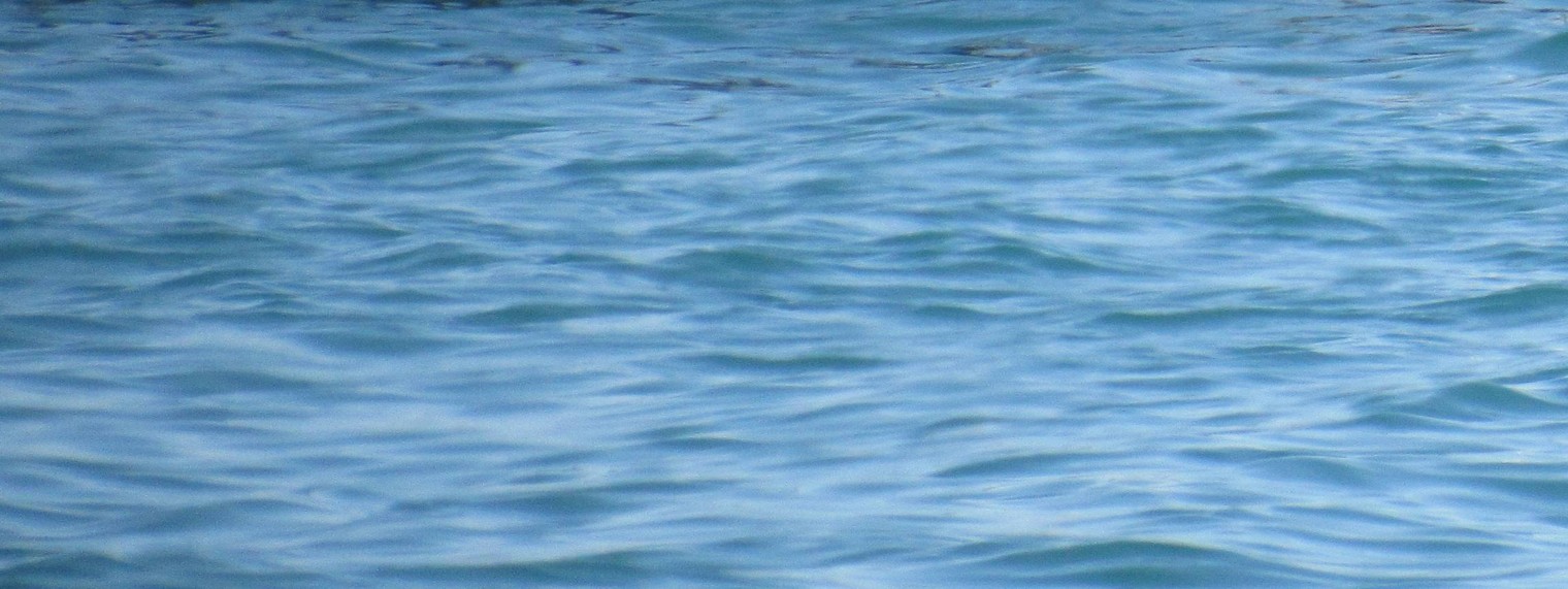 Неугомонная домохозяйка