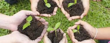 ABONO (АБОНО) - abono.ru