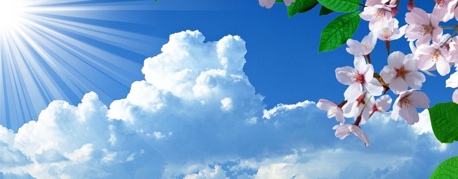 О доме, саде и цветах