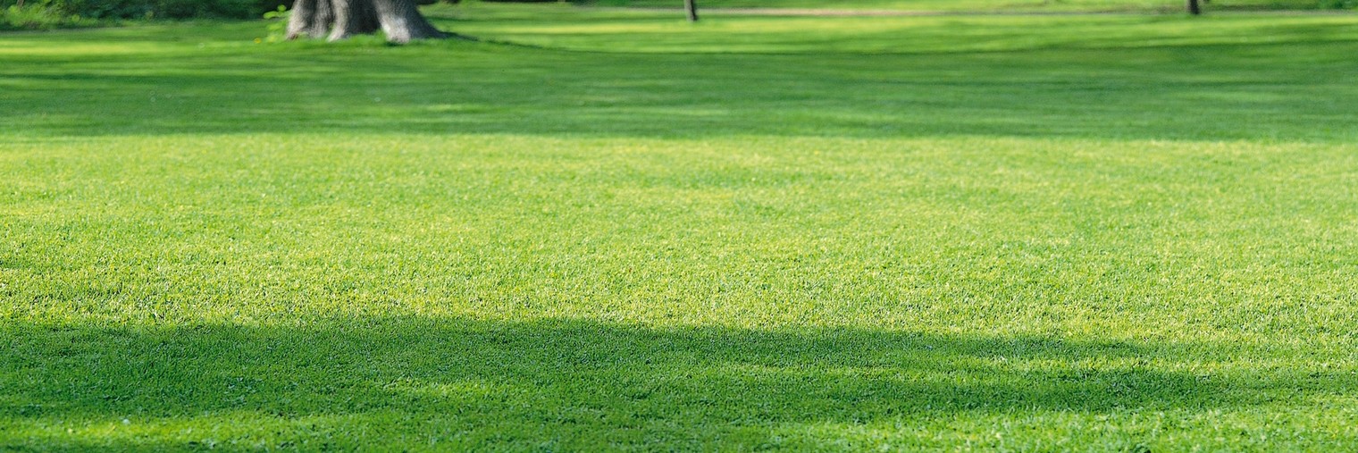 Смешные видео