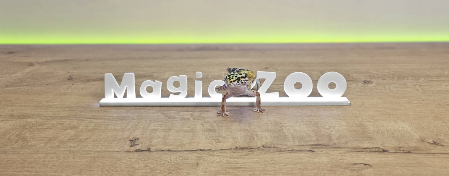 MagicZOO