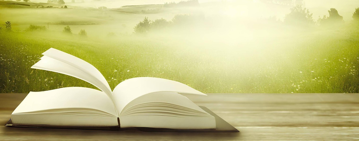 Стихи Николая Степановича