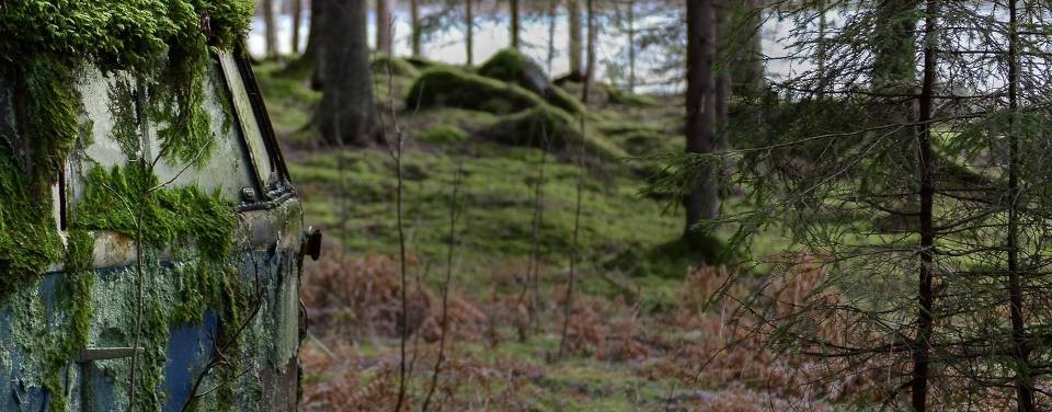 Александр 777