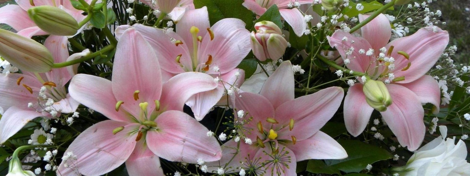 Будем жить , не тужить !