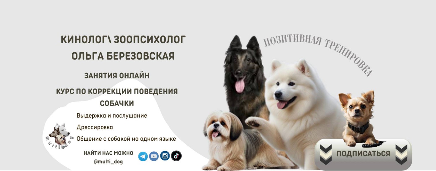 multi_dog