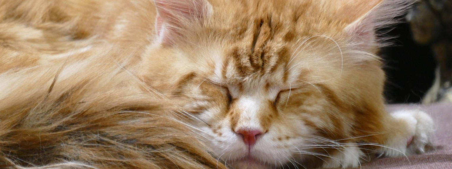 ГЛАЗАМИ РЕБЁНКА