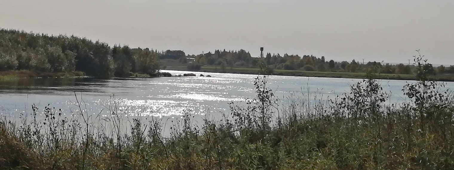 Простые шаги в освоении интернета