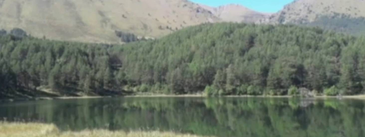 Домик Лесника Ставрополь