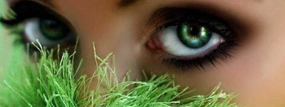 Одним Глазком