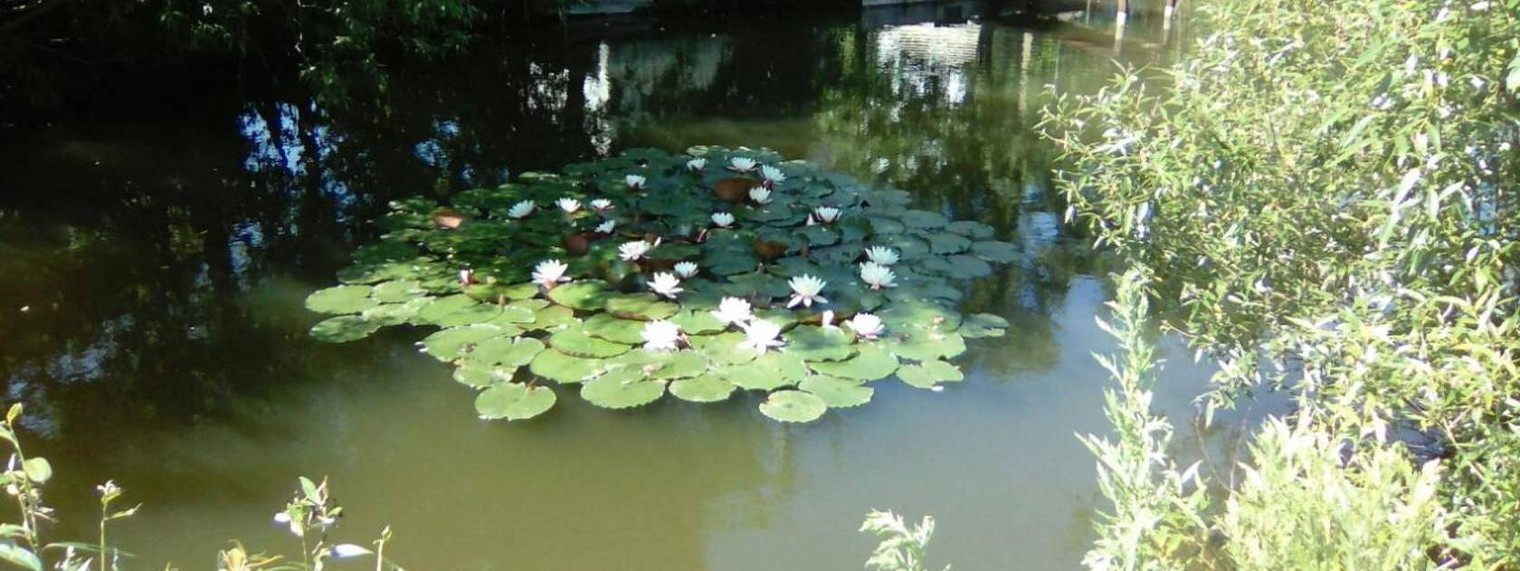 АкваФерма "Никея"