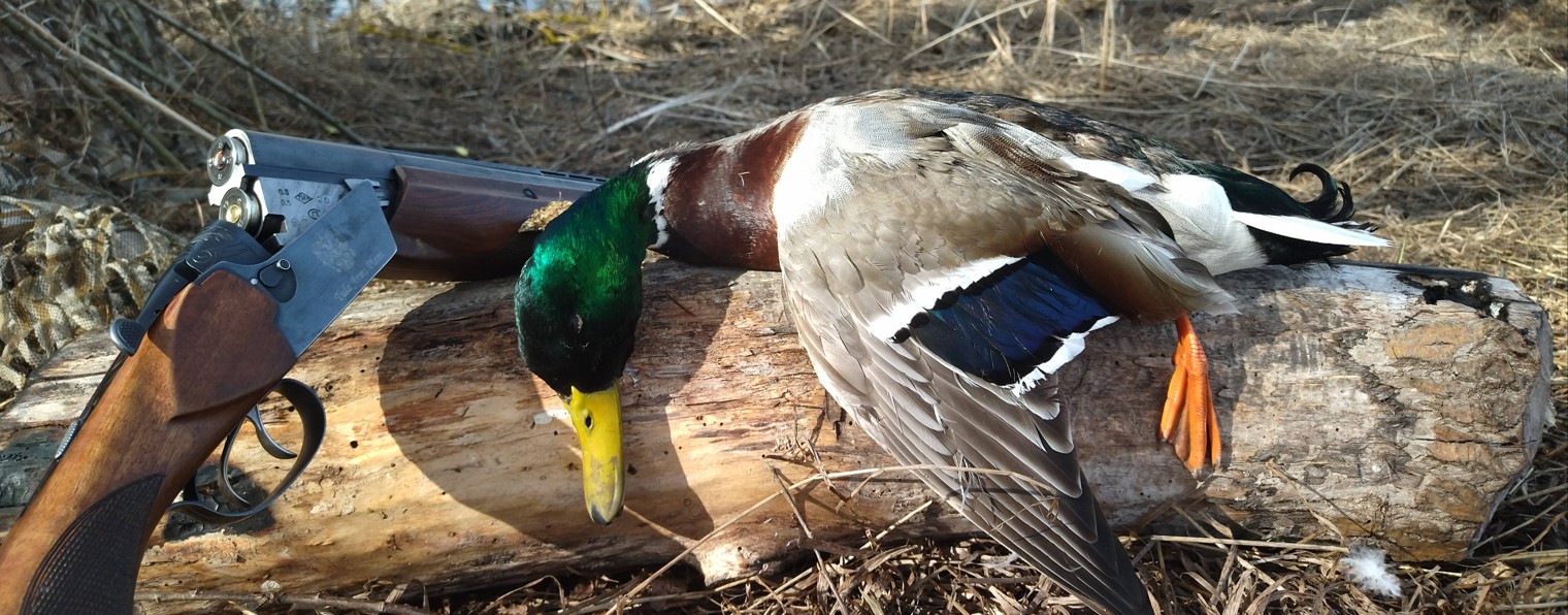Подсадные утки. Андрей Лабецкий.