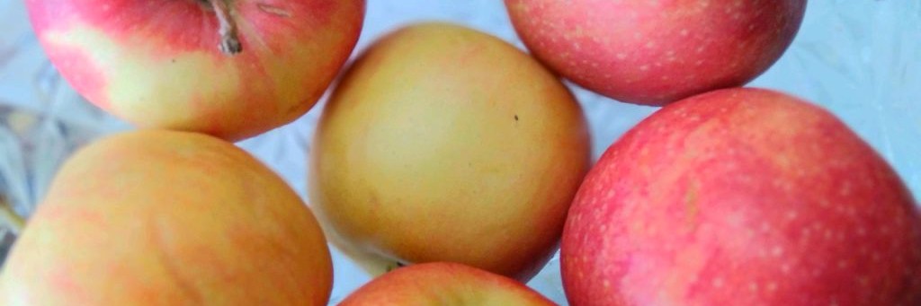 Светлана Киселева