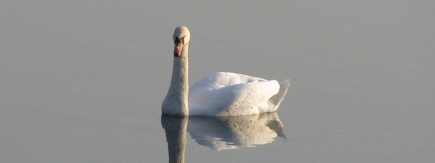 ПриродоЛюдие