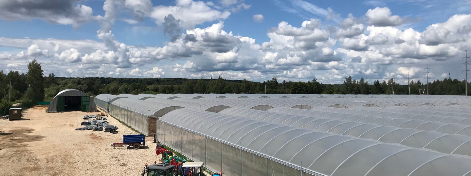 Терра Верде