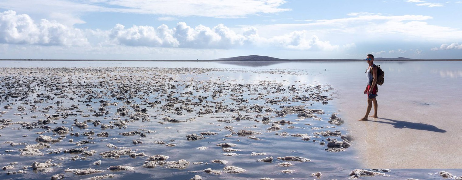 Здесь был Игнат Солошенко