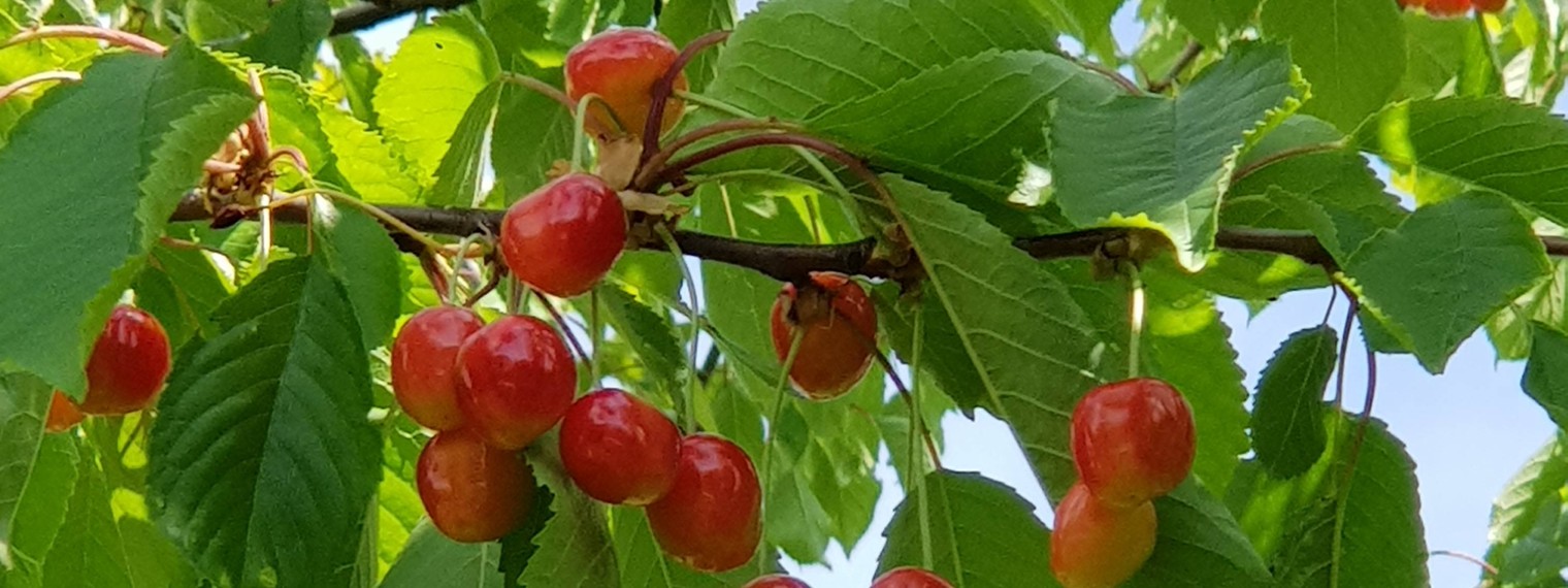 Моя записная книжка