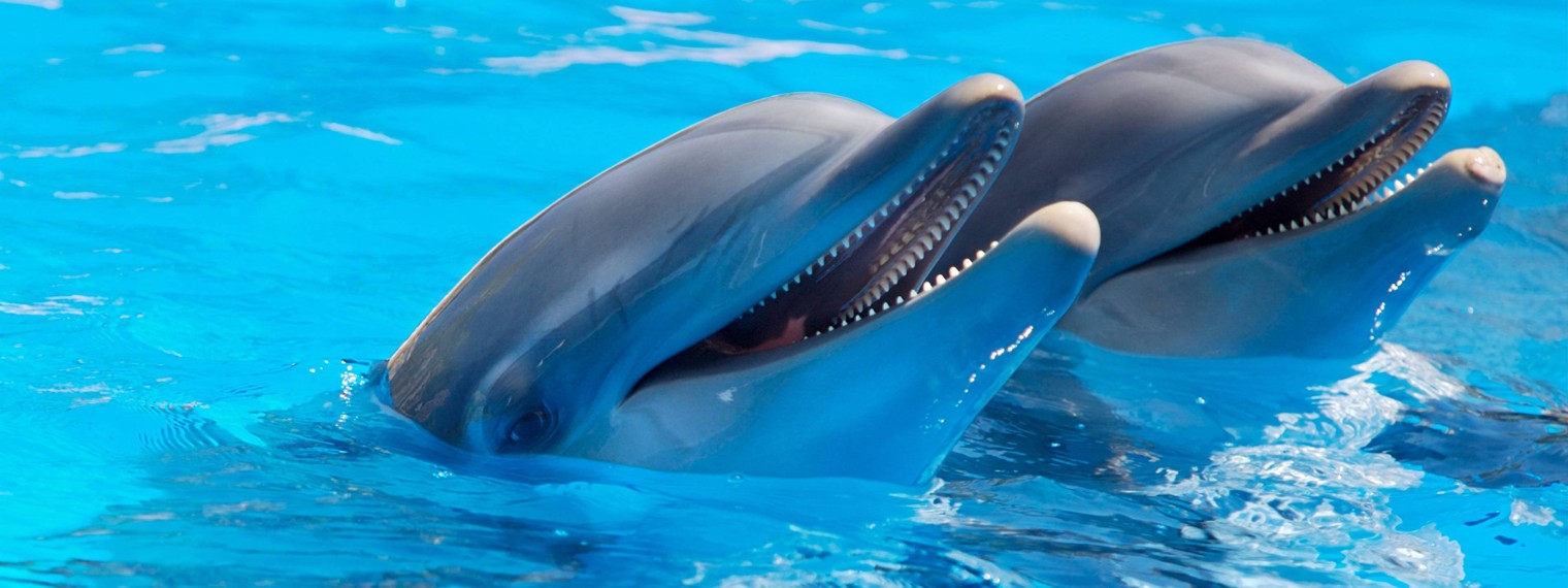 Расслабляющая музыка и звуки природы