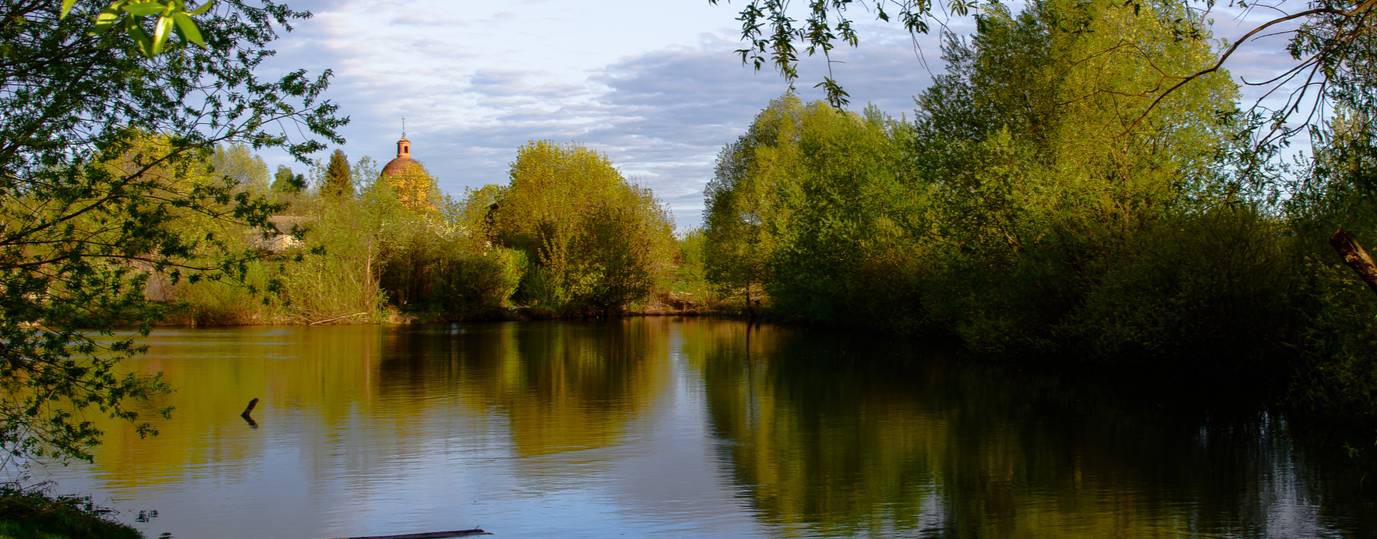 Ружейный  охотник Московской губернии